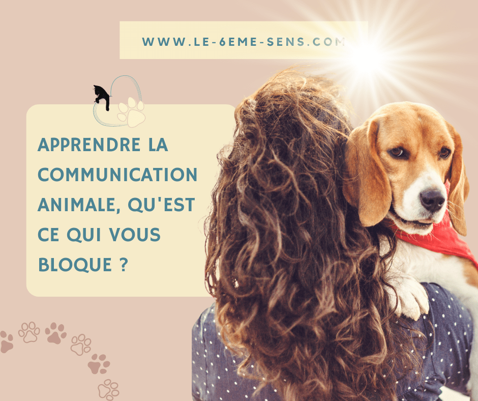 Apprendre la communication animale, qu’est-ce qui vous BLOQUE ? - Le 6ème sens