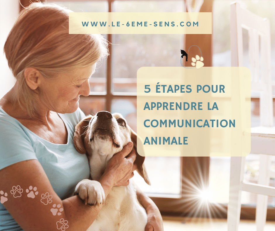 5 étapes pour bien débuter la communication animale - Le 6ème sens