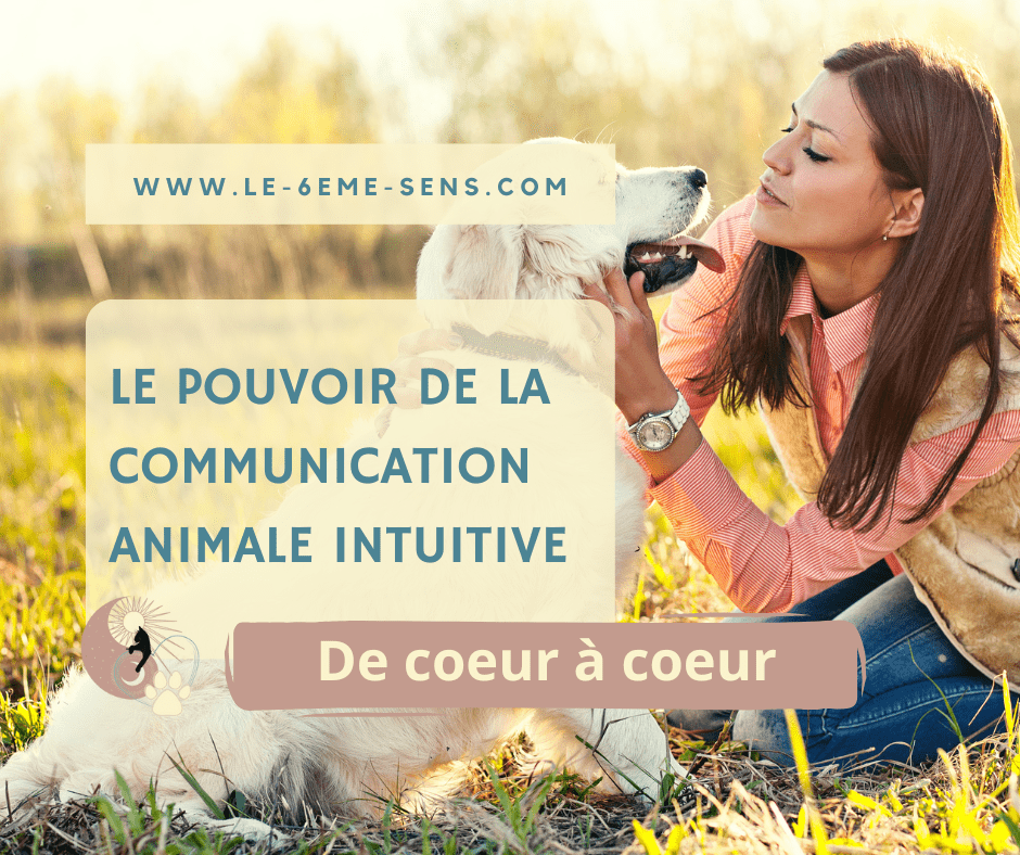 Comprendre les animaux : le pouvoir de la communication animale intuitive - Le 6ème sens